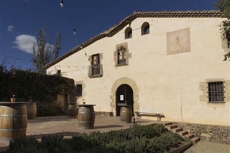 Vinyes De Barcelona El Primer Vi Blanc De Collserola