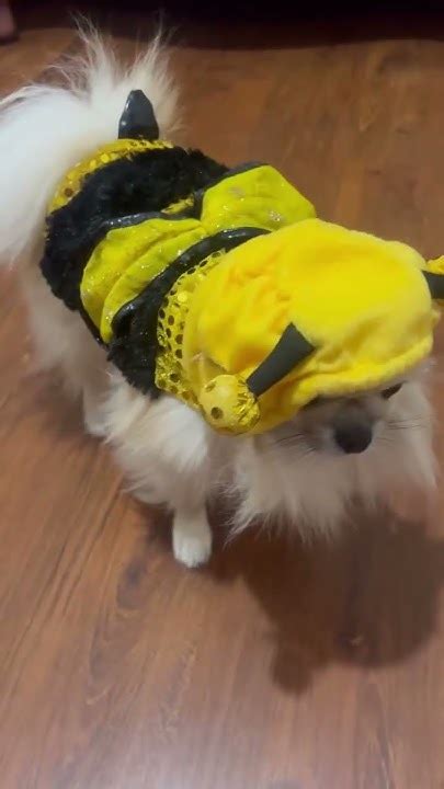 این داستان با بازی لی لی 😂😂😂 Youtube