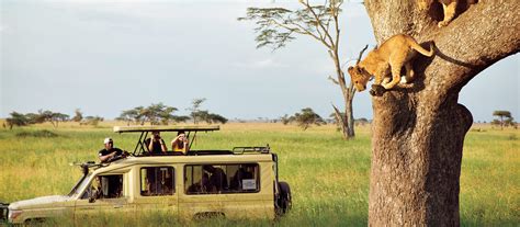 5 Major Destinations That Crown Tanzania Safari Anytime