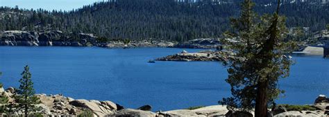 Spicer Meadow Area Camping