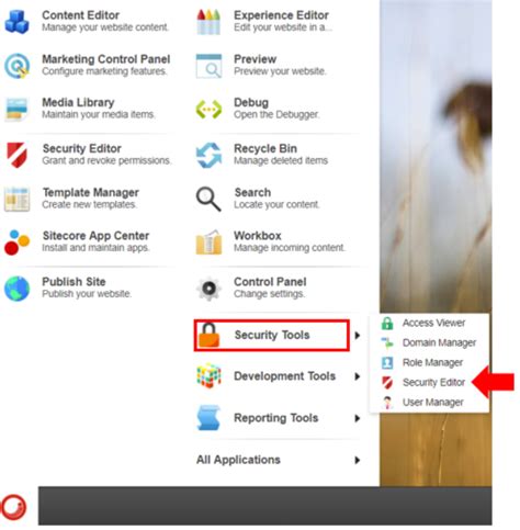 Customizing Rte Functions According To Userrole Sitecore Blog