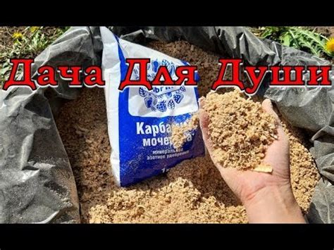 Как сделать, чтобы ОПИЛКИ быстро ПЕРЕПРЕЛИ? - YouTube