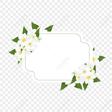 재스민 꽃 일러스트 장식 테두리우아한소책자초록 Png 일러스트 무료 다운로드 Lovepik