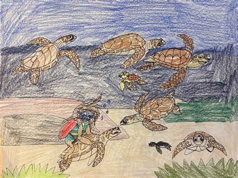 Toons Endless Ocean Green Sea Turtle By Tythom1999 On Deviantart