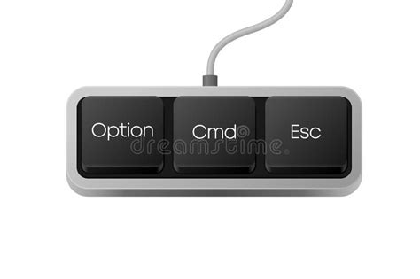 Option Cmd Esc Button Combination Computer Keyboard Word On Pc