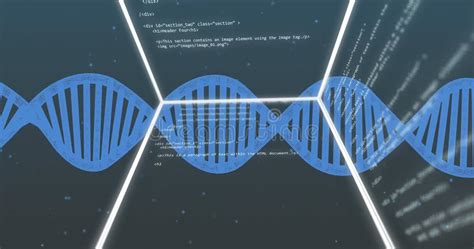 Dna Strand And Coding Data Processing Image Over Dark Background Stock