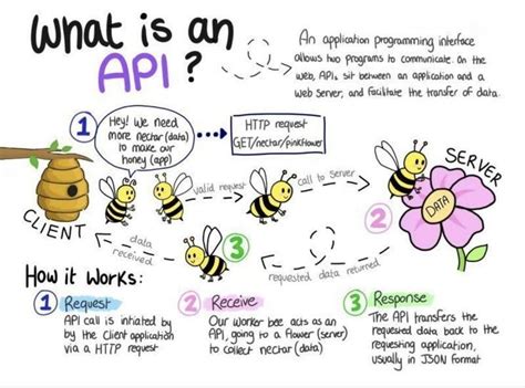 Api Applicationprogramminginterface Softwaredevelopment Integration