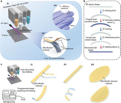 Scientists Develop Tiny 3d Printed Actuators To Power Mini Soft Robots