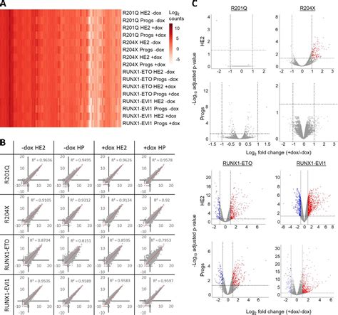 Different Mutant Runx1 Oncoproteins Program Alternate Haematopoietic