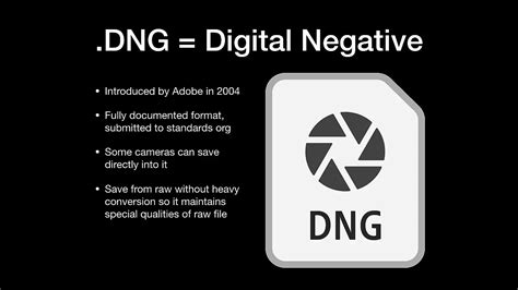 What Is A DNG File VincenColor