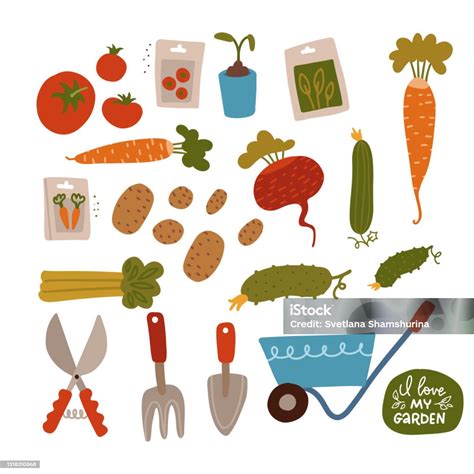채식주의 자 농장 유기농 음식 Elemenst의 세트 손으로 그린 화려한 낙서 야채 와 씨앗과 정원 도구 야채 플랫 벡터 아이콘 오이 당근 사탕무 토마토 채소에 대한 스톡