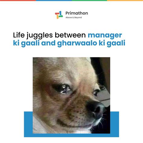 Primathon On Linkedin Meme Memes Funny Humour Manager Gaali
