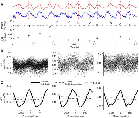 Phase Dependent Modulation Of Theta Amplitude By Head Movements A