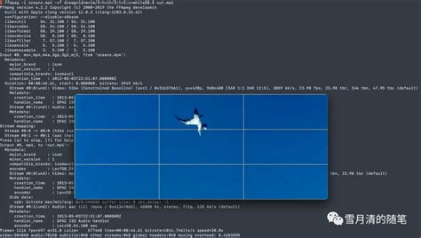 Ffmpeg Filter浅析 实时互动网