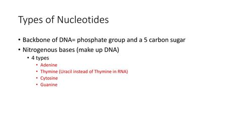 Macromolecules Chapter Ppt Download
