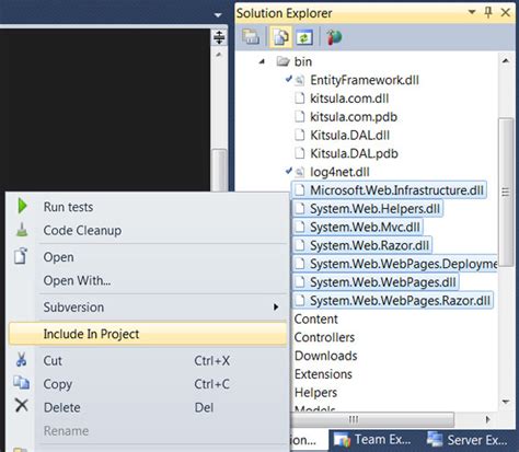 How To Deploy An Aspnet Mvc 3 App To Web Hosting With Bin Deployment