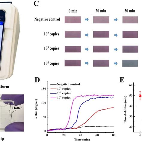 Optimization Of Real Time Colorimetric Lamp Assay A Detection Download Scientific Diagram