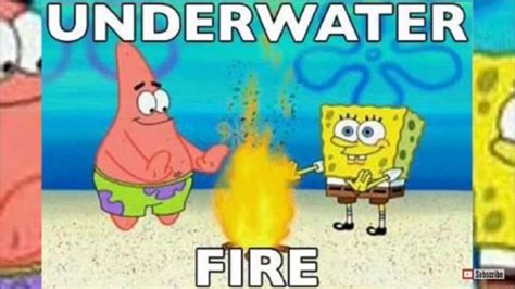 Spongebob Fail Cartoon Amino