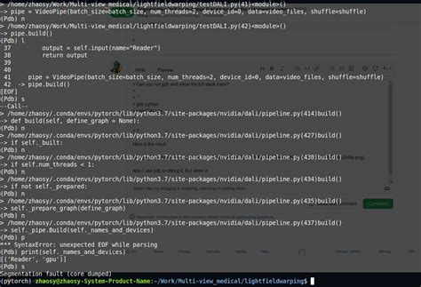 Segmentation Fault Core Dumped When Running The Videoreader Example · Issue 2090 · Nvidia