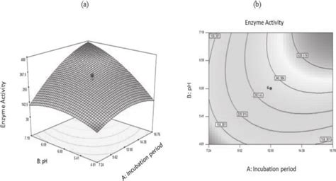A Response Surface For Laccase Production Umin By M Cladophyllus Download Scientific