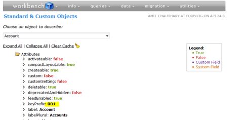 Amit Salesforce Salesforce Tutorial Record Id Prefix Object Type From Record Id Prefix