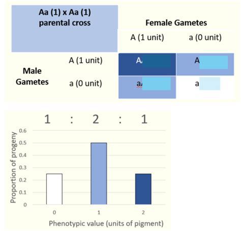 Quantitative Traits Flashcards Quizlet