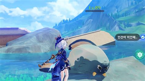 탱탱 물범 Genshin Impact Hoyolab