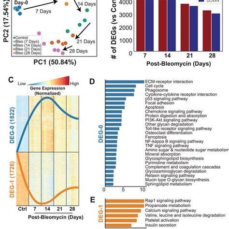 Metabolomics Data Analysis A Principal Component Analysis Pca Download Scientific Diagram