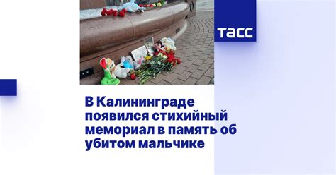 В Калининграде появился стихийный мемориал в память об убитом мальчике