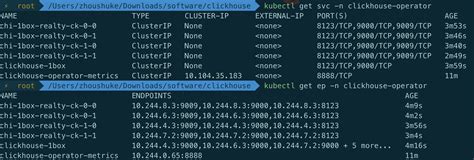 Kubernetes学习operator部署高可用clickhouse Zsks Records
