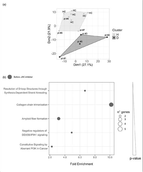 Cluster Analysis And Pathway Enrichment A Cluster Analysis Results Download Scientific