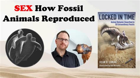Sex How Fossil Animals Reproduced Locked In Time With Bob Nicholls