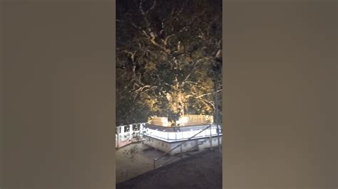 දොළගාව පුරාණ විහාරය අද දින පැවති සර්වරාත්‍රික පිරිත් පිංකම 🌼🙏🌼 Buddha බුදුරදුන් Shorts Youtube