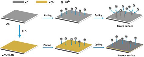 Surface Modification Induces Oriented Zn002 Deposition For Highly