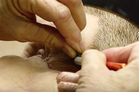 Graham The Only Person Designed To Survive A Car Crash