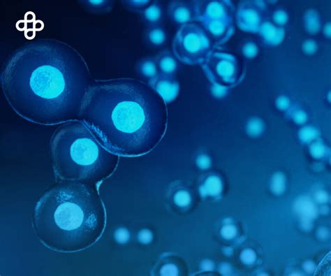 Células Madre Multipotentes Centro Médico Eternal