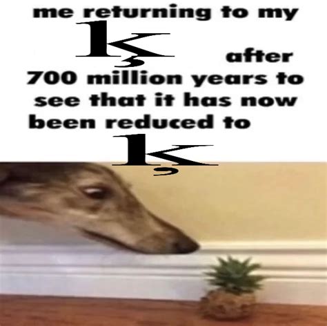 Unicode When Their Job Is To Label A Glyph Properly Rlinguisticshumor