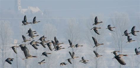 Migrating To Linux The Command Line