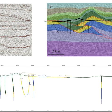 The Forward Geological Model Used To Create The Two Datasets A Download Scientific Diagram