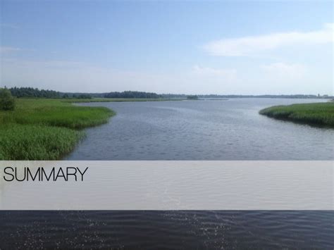 Jsav The Javascript Algorithm Visualization Library