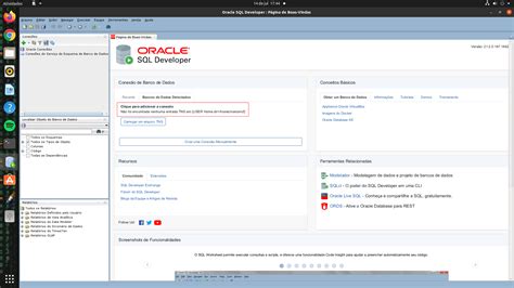 Não Consigo Configurar Usuário Sysadmin E Criar Conexão Xe Ubuntu