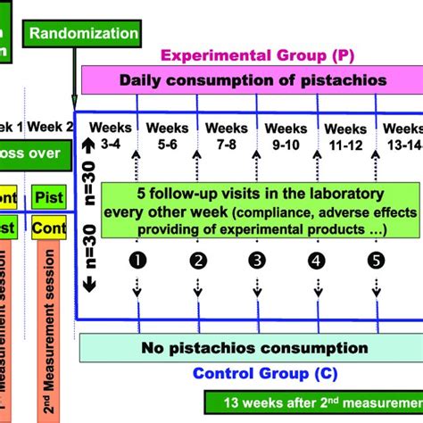Study Design And Time Course Flow Chart Download Scientific Diagram