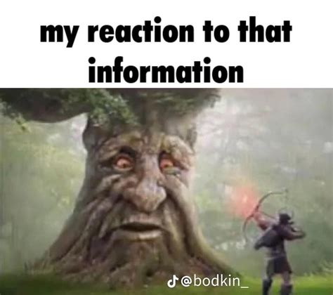 Some Of My Wise Mystical Tree Memes R Wisemysticaltree
