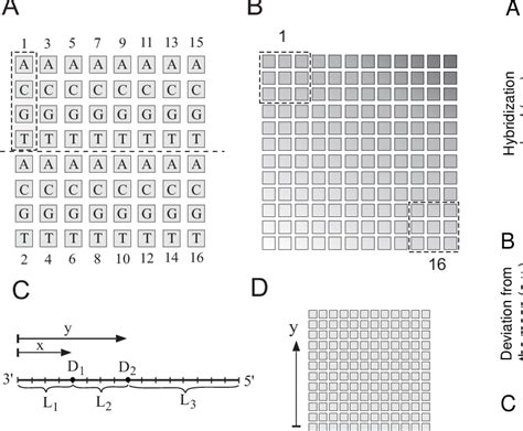 Microarray Feature Arrangements A For The Single Base Mismatch