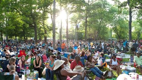 Raviniawhat To Know Your Chicago Guide
