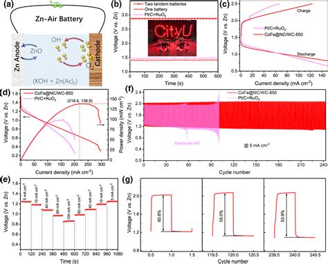 Hierarchical Cofen‐doped Carbon Decorated Wood Carbon As Bifunctional