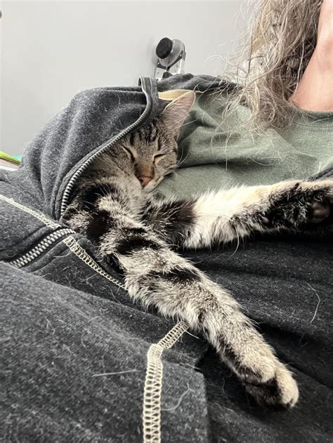 I Made A Huge Tactical Error In Zipping Shorty Up In My Jacket Ive Never Seen Her Crazy Butt