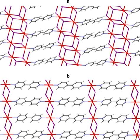 A Fragment Of The Two Dimensional Coordination Polymer Of A Download Scientific Diagram
