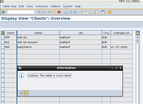 Scc4 « Sap Basis Cafe