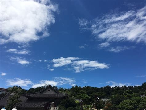 일년에 일주일이 채 되지않을 완벽한 날씨여서 해가 지는게 비극일 정도라는데 어딘가에 흔적을 남겨야 할거같았다 나는 새벽에 서늘함을 느껴 깼고 빗소리가 좋다고